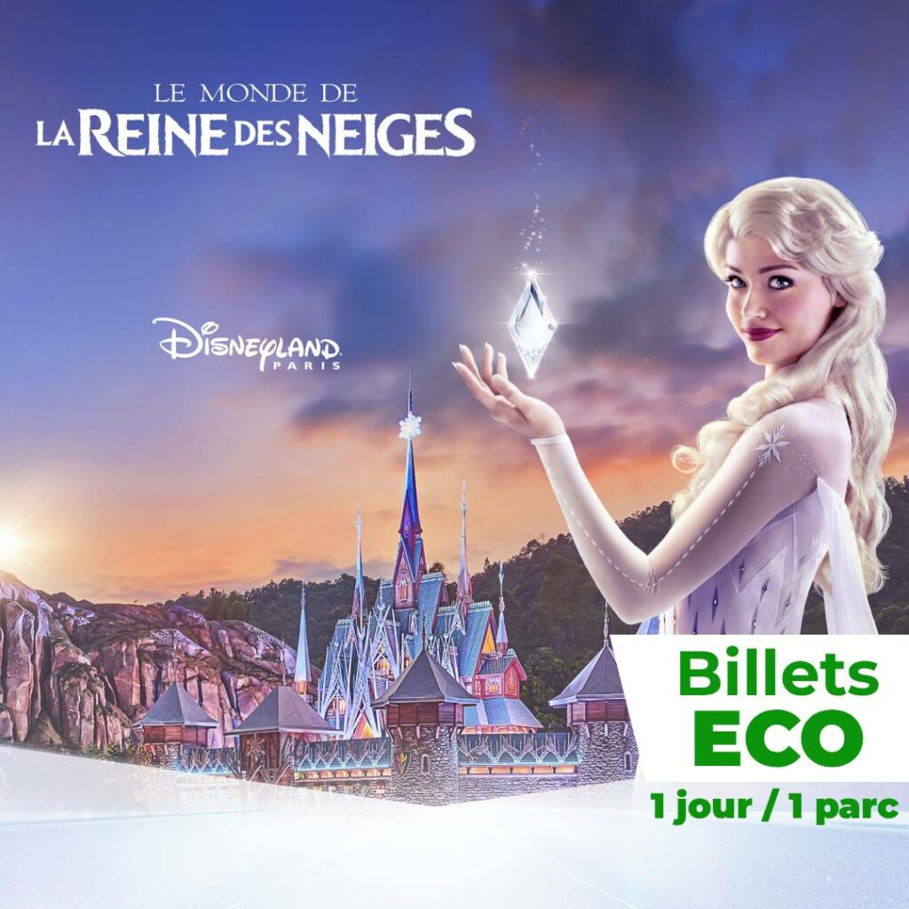 Parc DISNEYLAND PARIS adulte ou enfant - Billet Eco 1 jour 2 parcs - E ...
