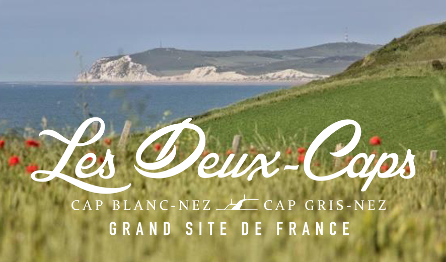 Évènements from 8 juin – 11 août – APACE Loisirs